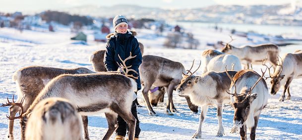 Voyage Laponie : Vacances et Circuit sur mesure Laponie